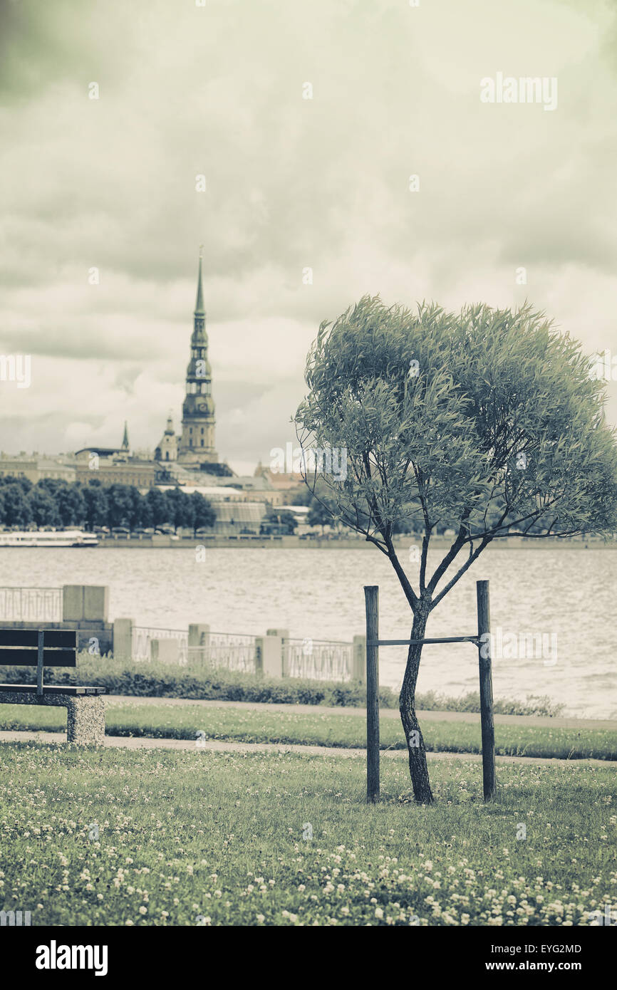 Saint peter the young church hi-res stock photography and images - Alamy