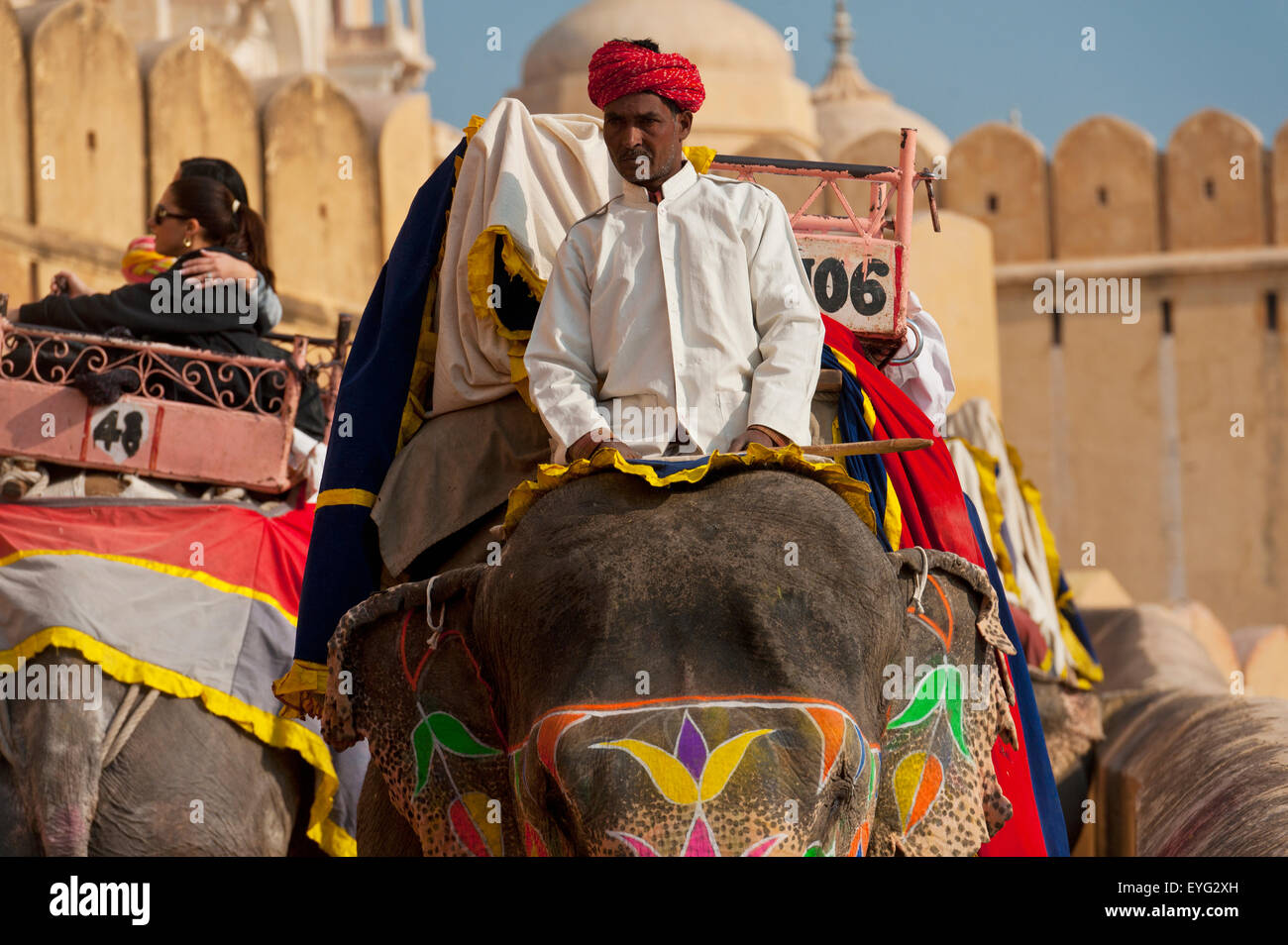 India, Rajasthan, Elephants going up and down path to Amber Fort ...