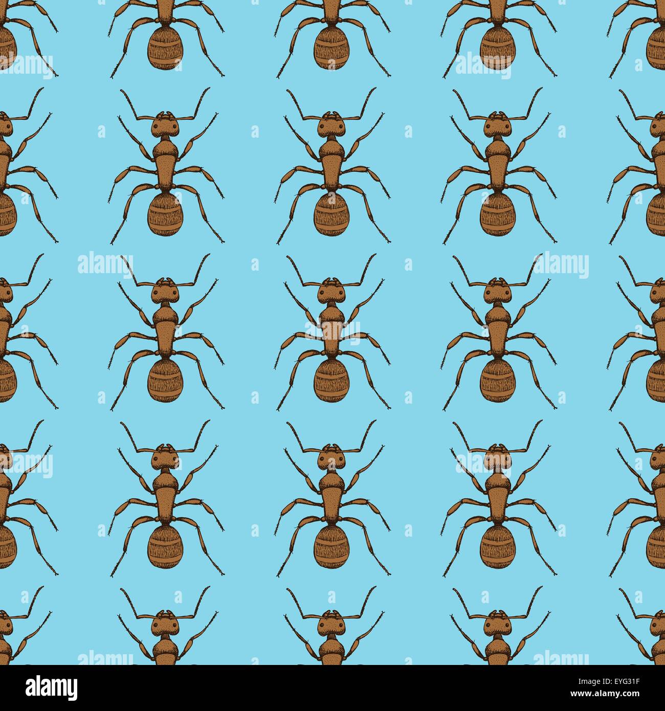 Sketch cute ant in vintage style, vector seamless pattern Stock Vector ...