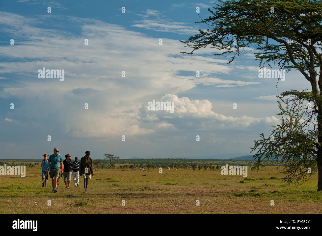 Kenya, People on walking safari with zebra and eland in background in ...