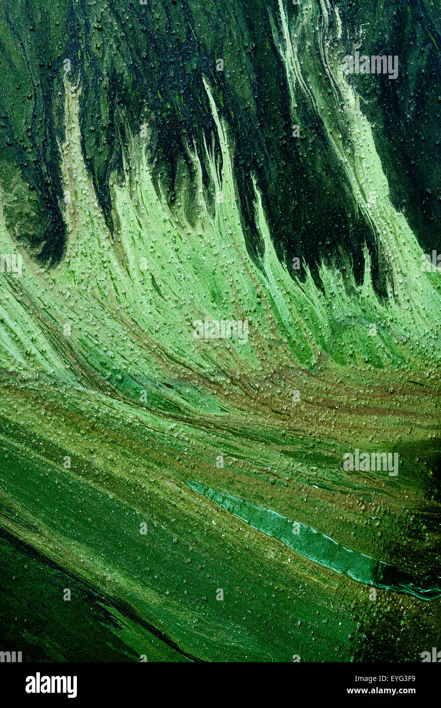 Algae cover pond hi-res stock photography and images - Alamy