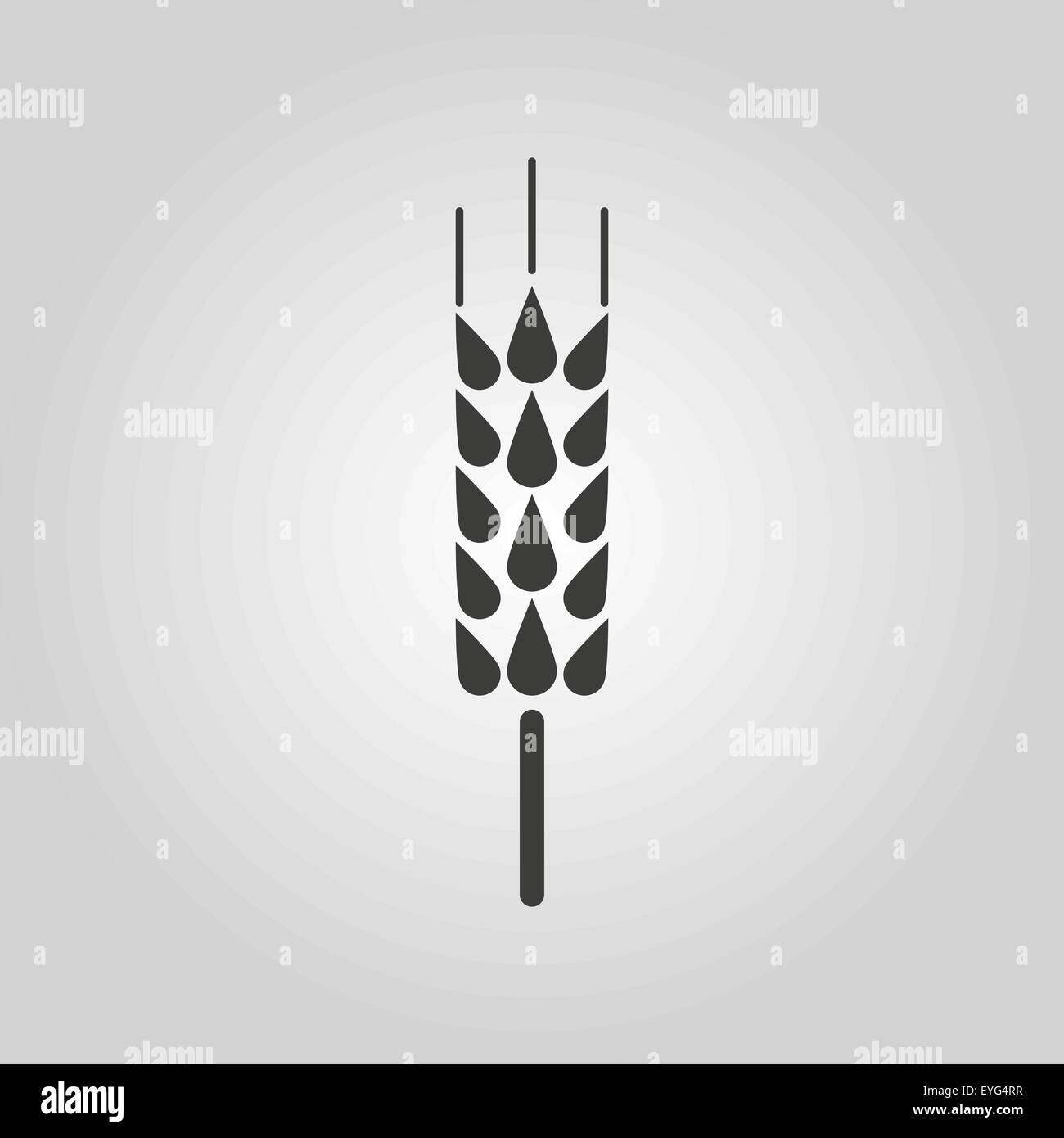 The spica icon. Wheat symbol. Flat Stock Vector Image & Art - Alamy