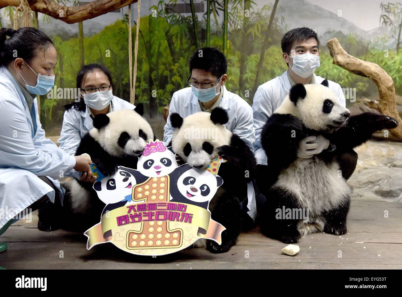 Guangzhou, China's Guangdong Province. 29th July, 2015. Giant panda ...