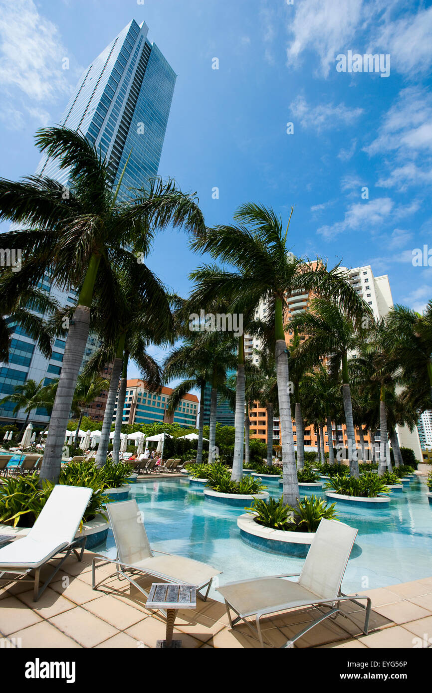 USA., Florida, swimming pool and palm trees in Downtown; Miami, hotels ...