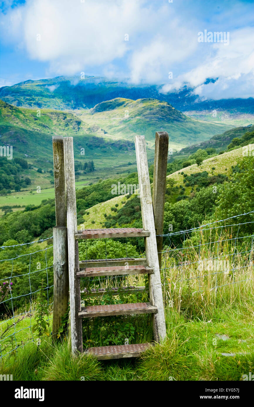 Ladder over fence hi-res stock photography and images - Alamy