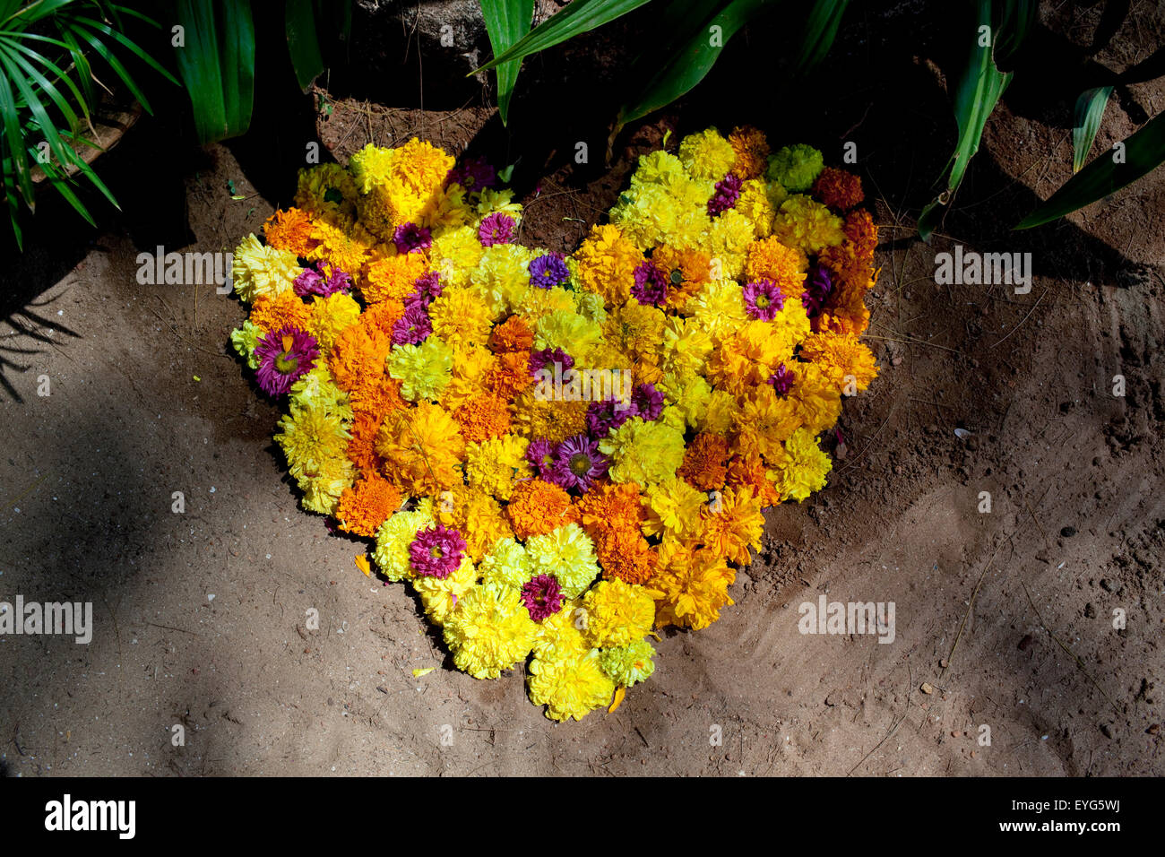 Indian wedding goa hi-res stock photography and images - Alamy