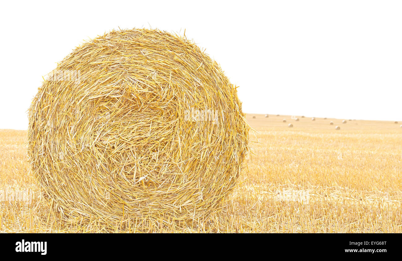 Hay bale isolated close up background with space for text Stock Photo ...