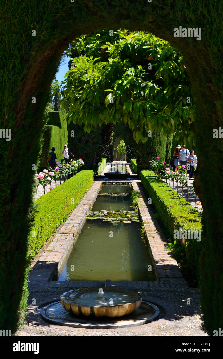 Fountain and water channel in lower gardens of Generalife Palace in ...