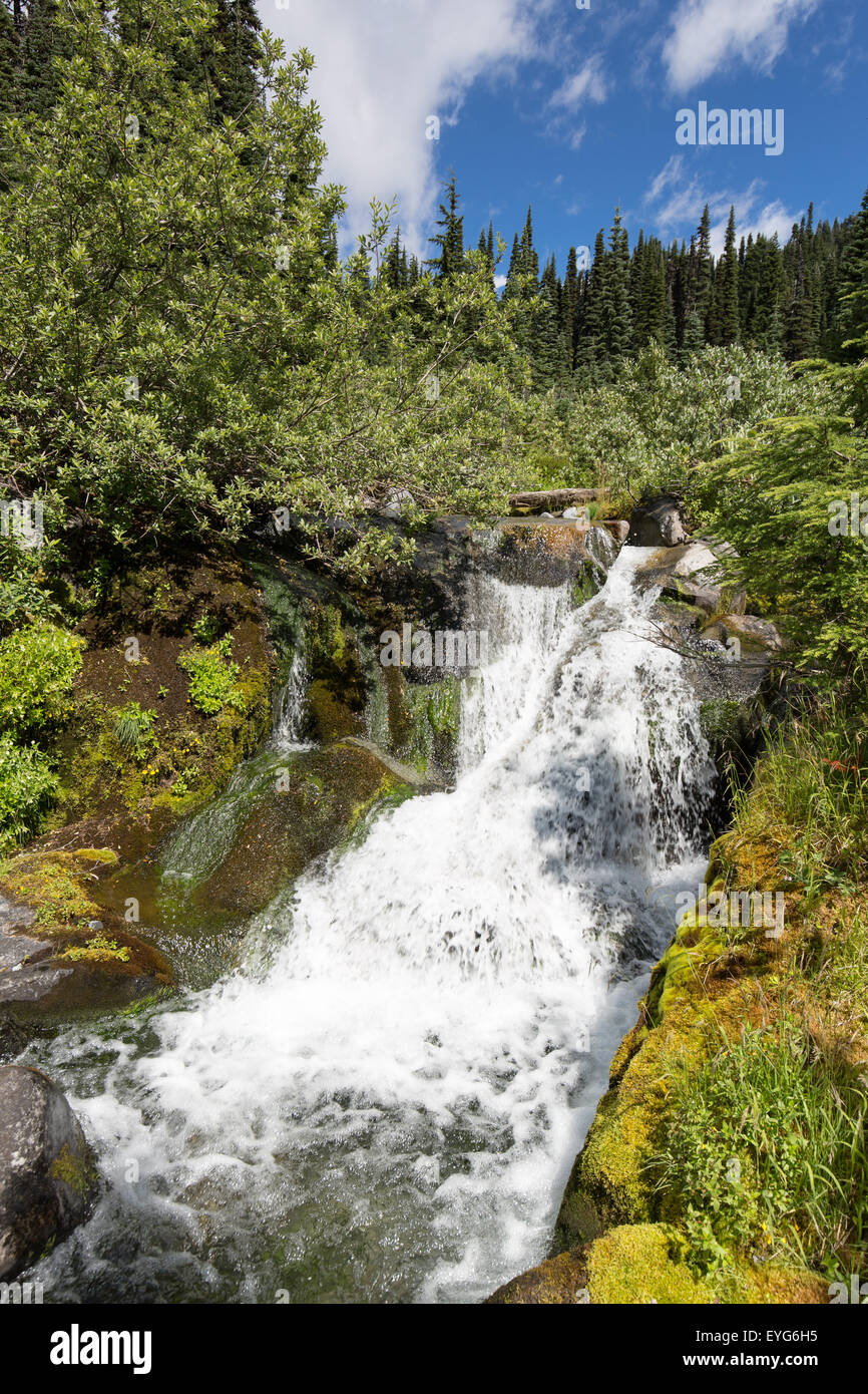 Waterfall on Mt. Rainier's Paradise River Stock Photo - Alamy