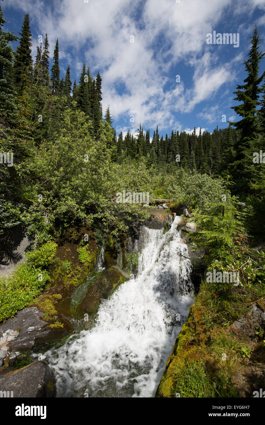 Waterfall on Mt. Rainier's Paradise River Stock Photo - Alamy