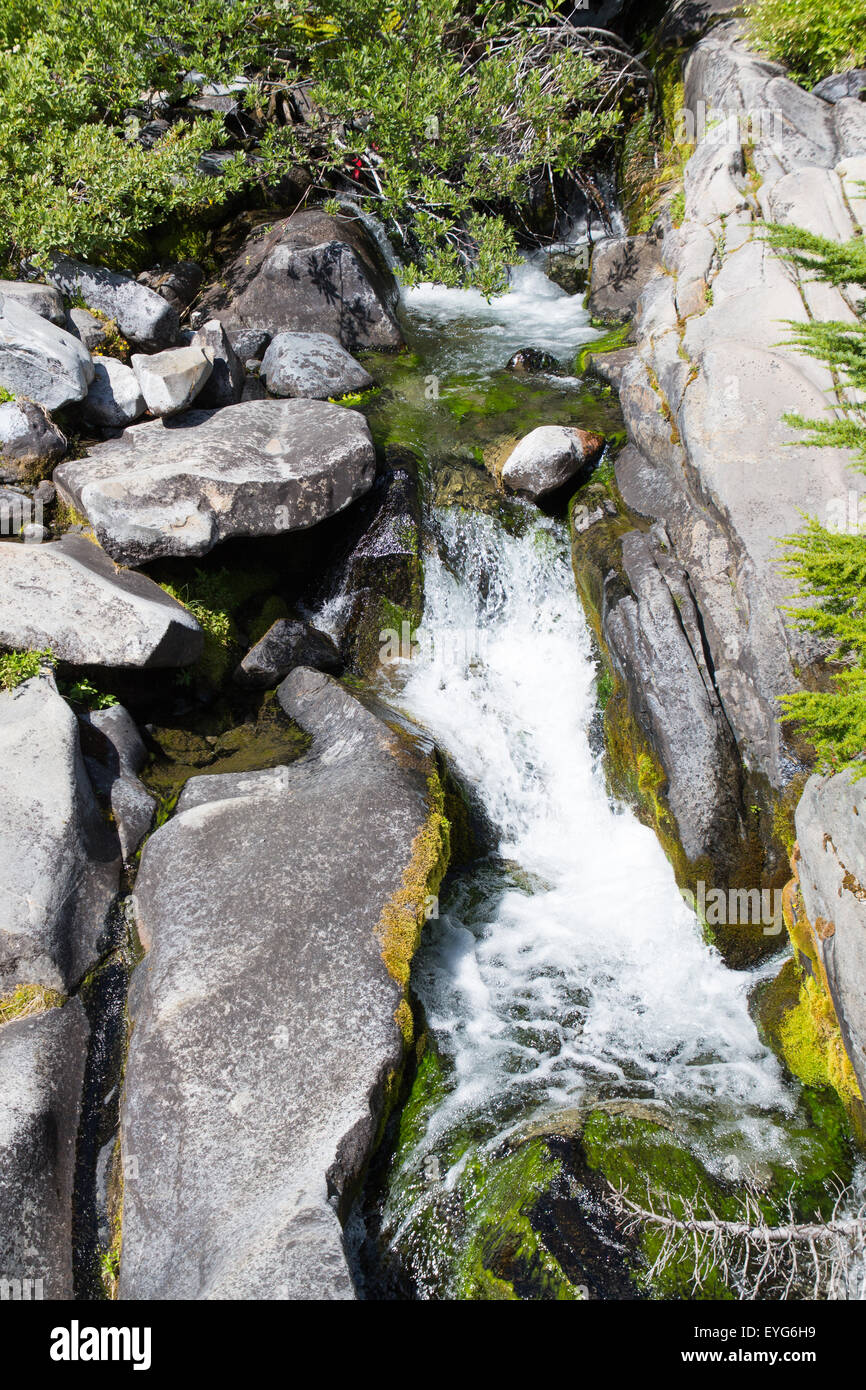 Waterfall on Mt. Rainier's Paradise River Stock Photo - Alamy