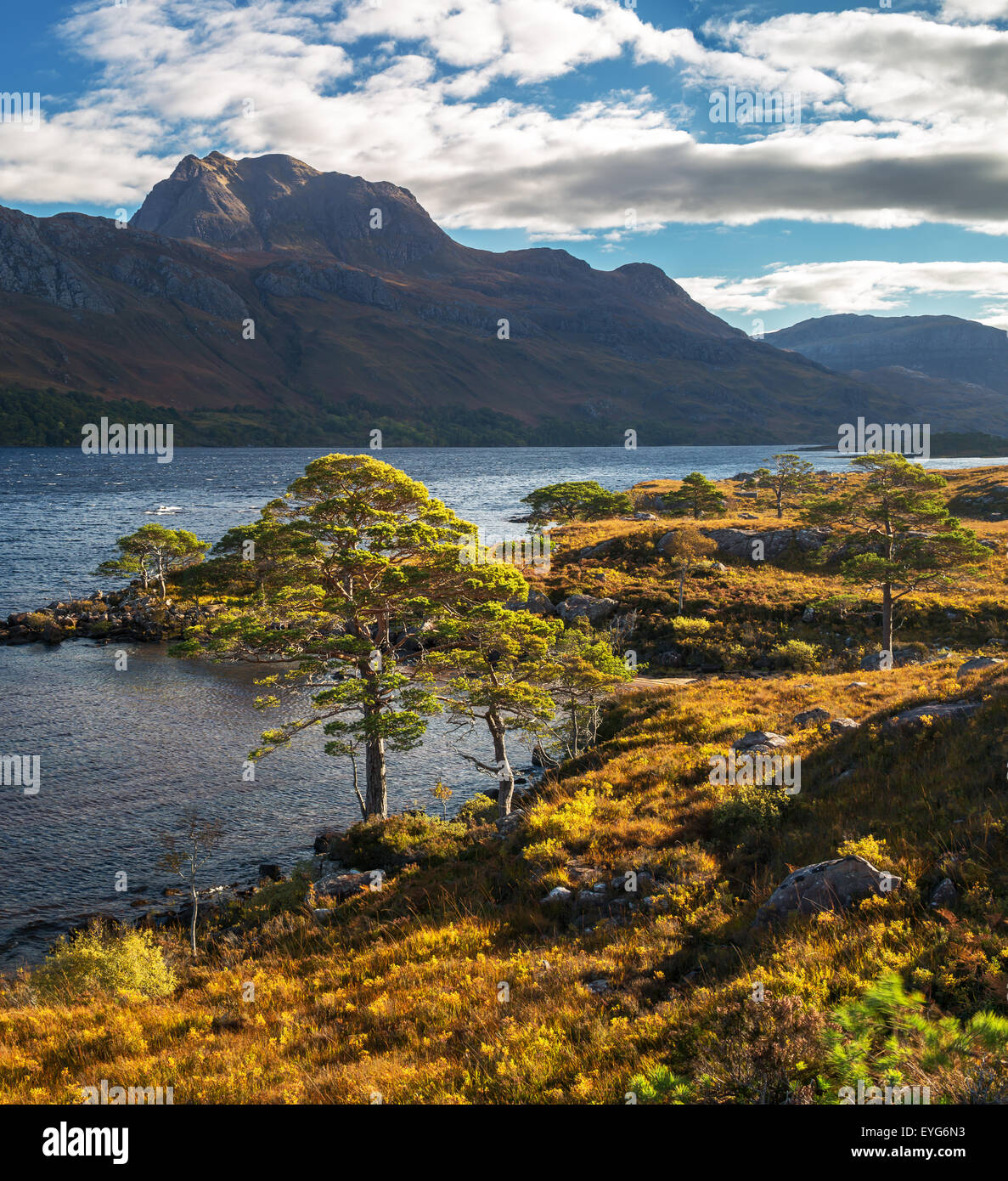 View of Sloch from Loch Maree Stock Photo - Alamy