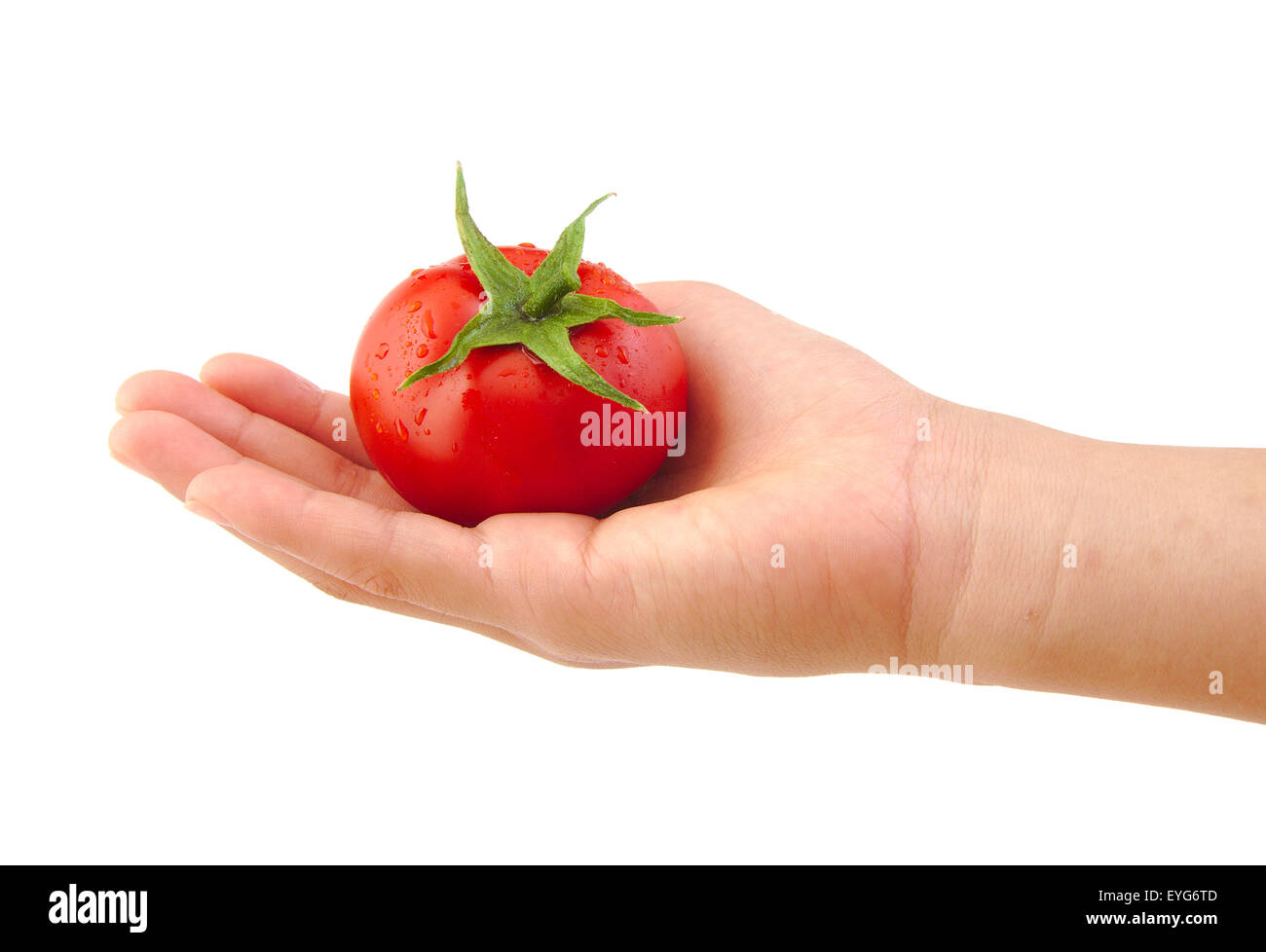 Tomato in hand isolated on a white background Stock Photo - Alamy