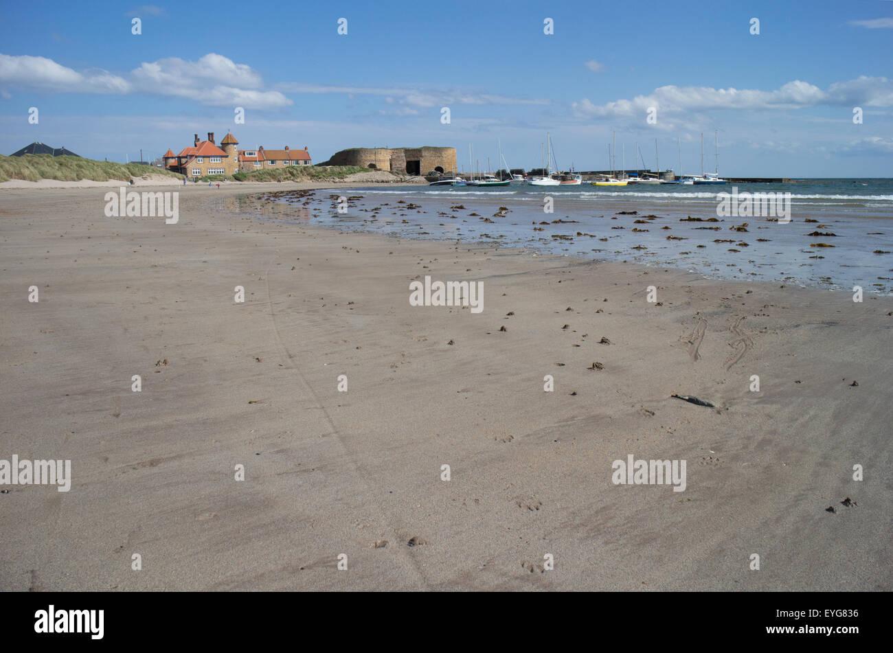 Beadnell beach and harbour Northumberland United Kingdom Stock Photo ...