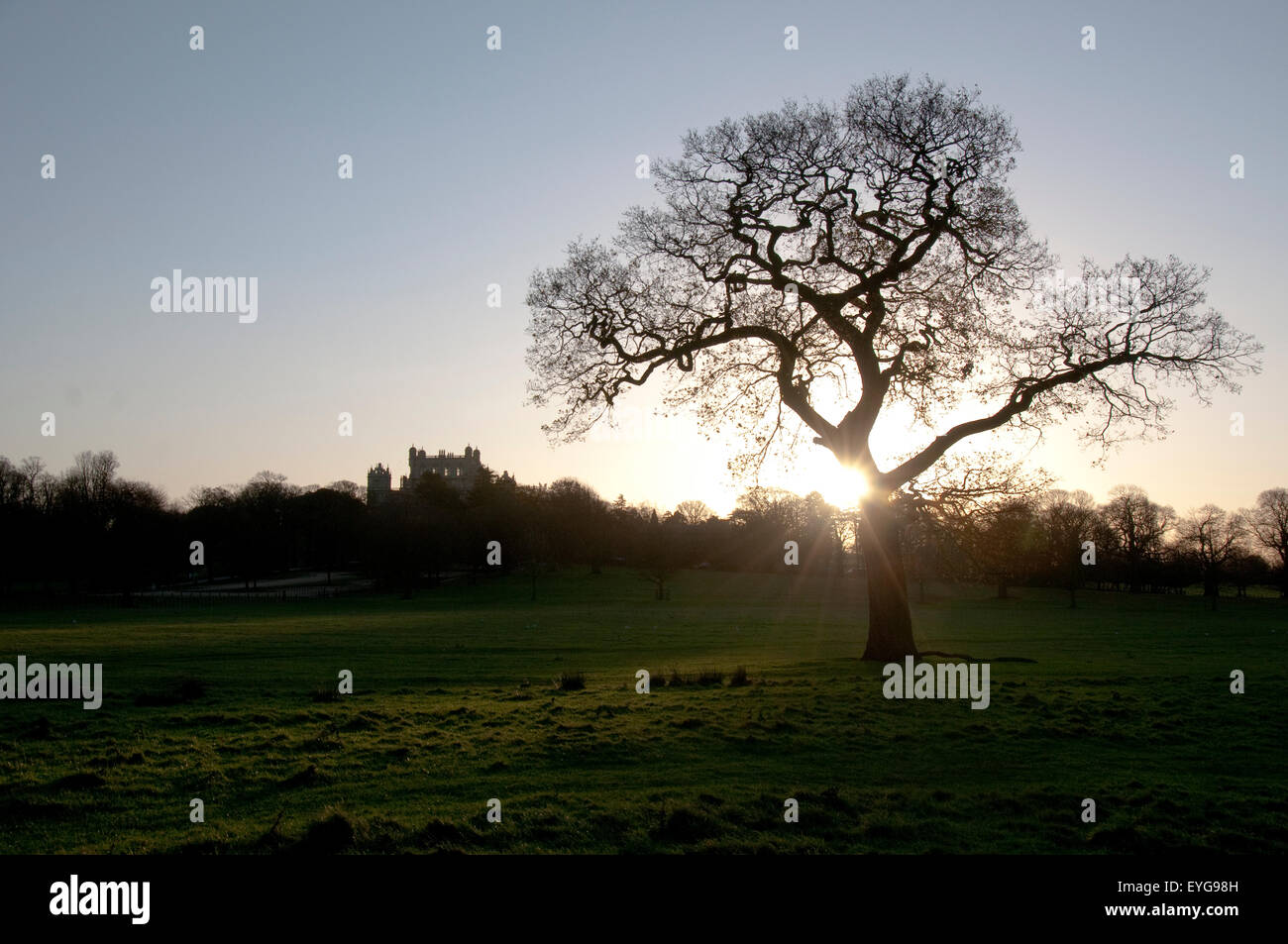 Sunrise at Wollaton Hall and Park in Nottingham, Nottinghamshire ...