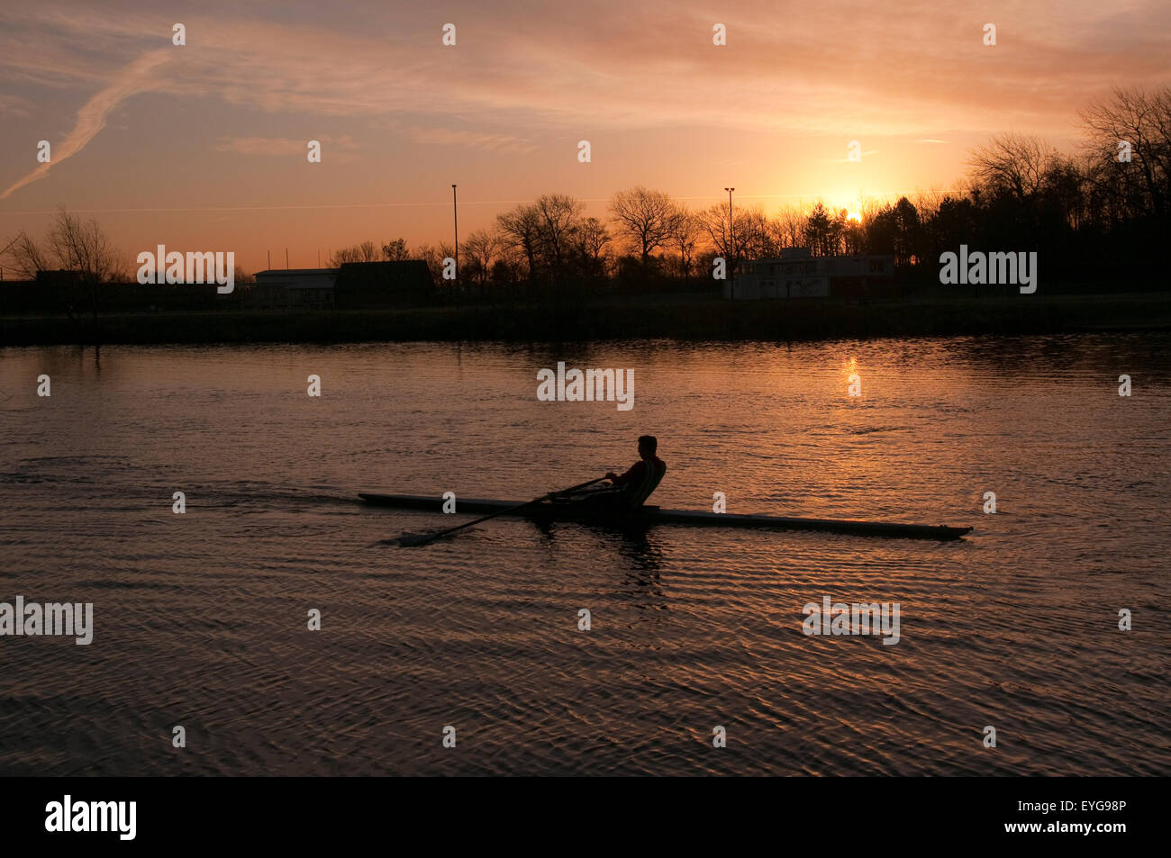 Rower on the River Trent at Sunrise, Colwick Park in Nottingham England ...