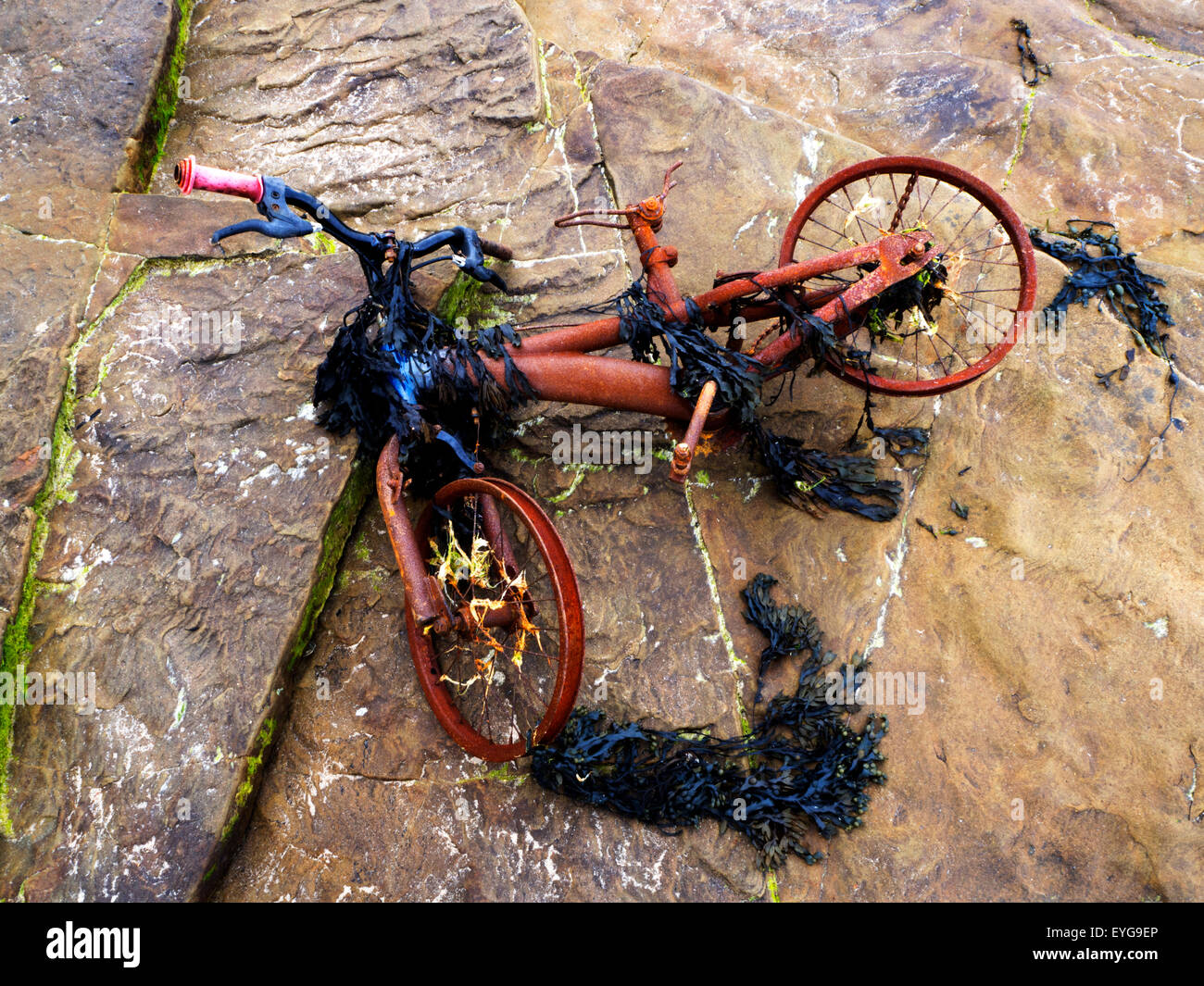 Rusty bike hi-res stock photography and images - Alamy