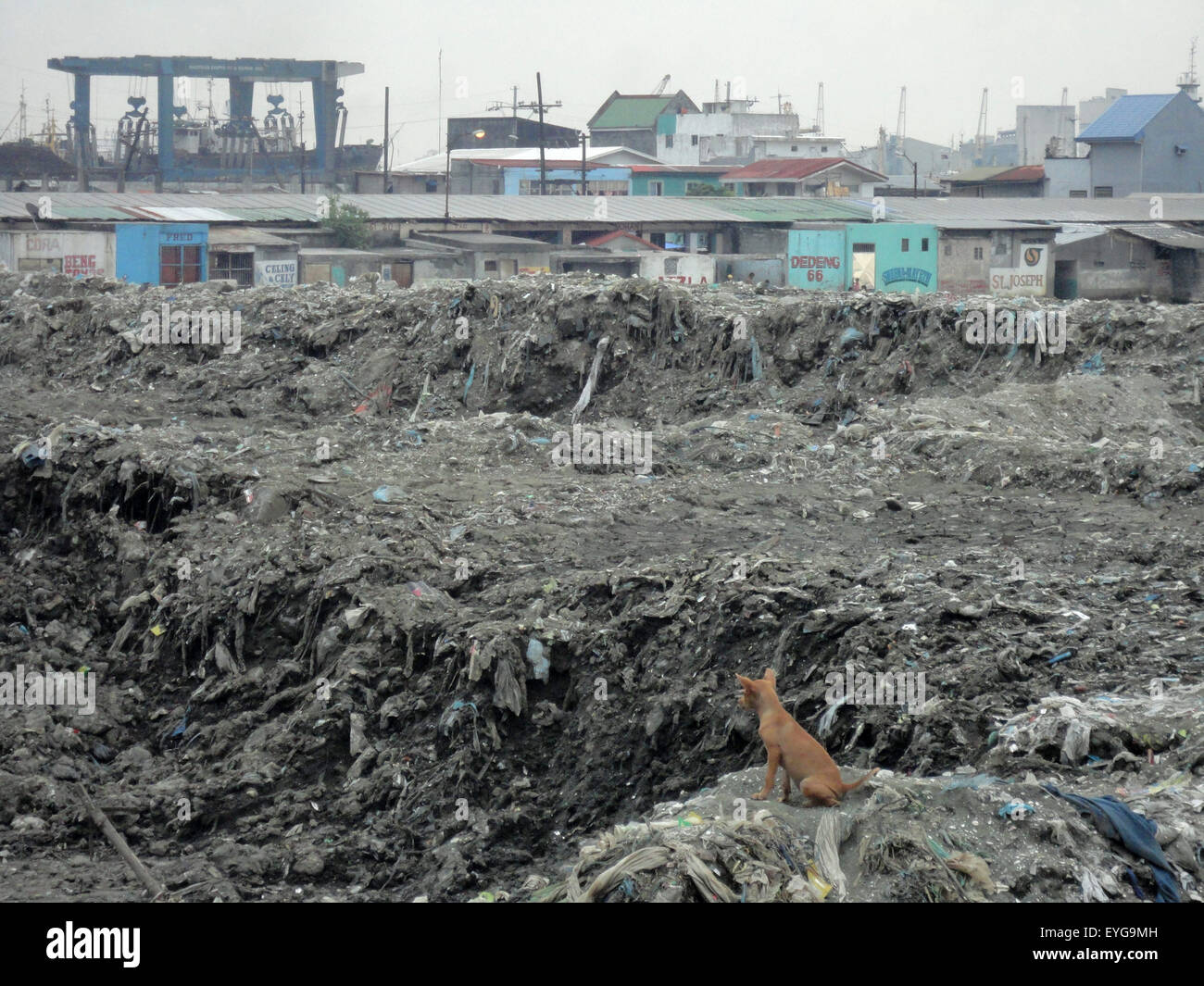 Dumpsite philippines hi-res stock photography and images - Alamy