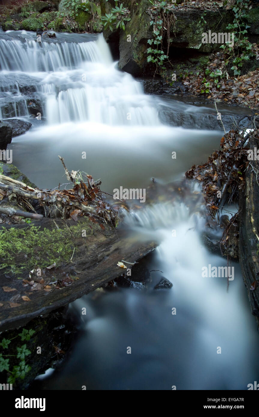 Lumsdale Falls in Matlock, Derbyshire England UK Stock Photo - Alamy