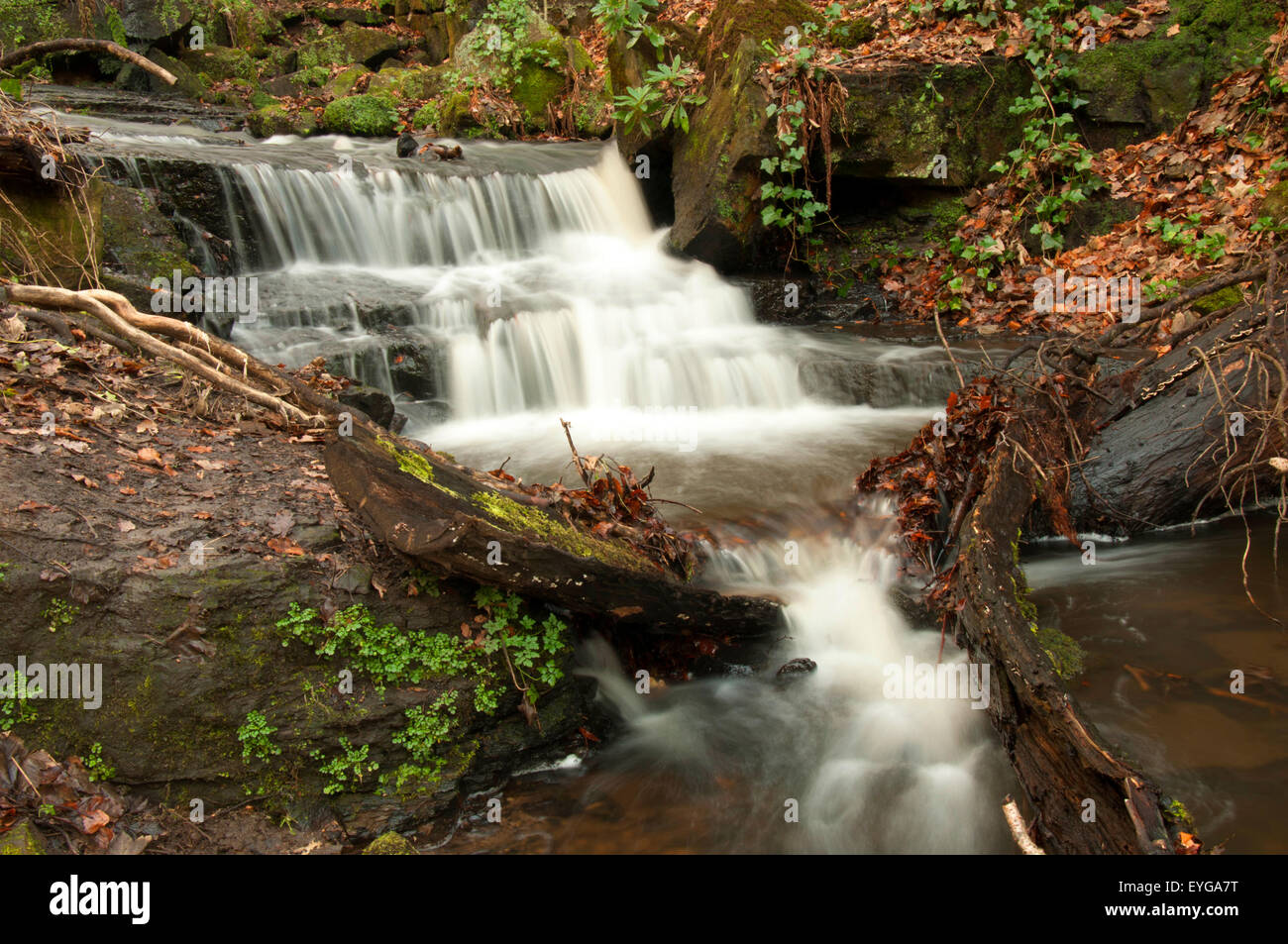 Lumsdale waterfall matlock hi-res stock photography and images - Alamy