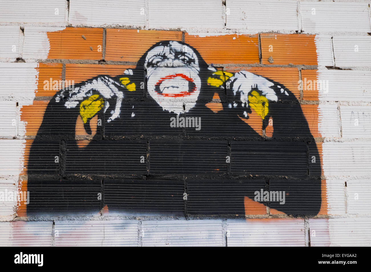 Monkey graffiti hi-res stock photography and images - Alamy