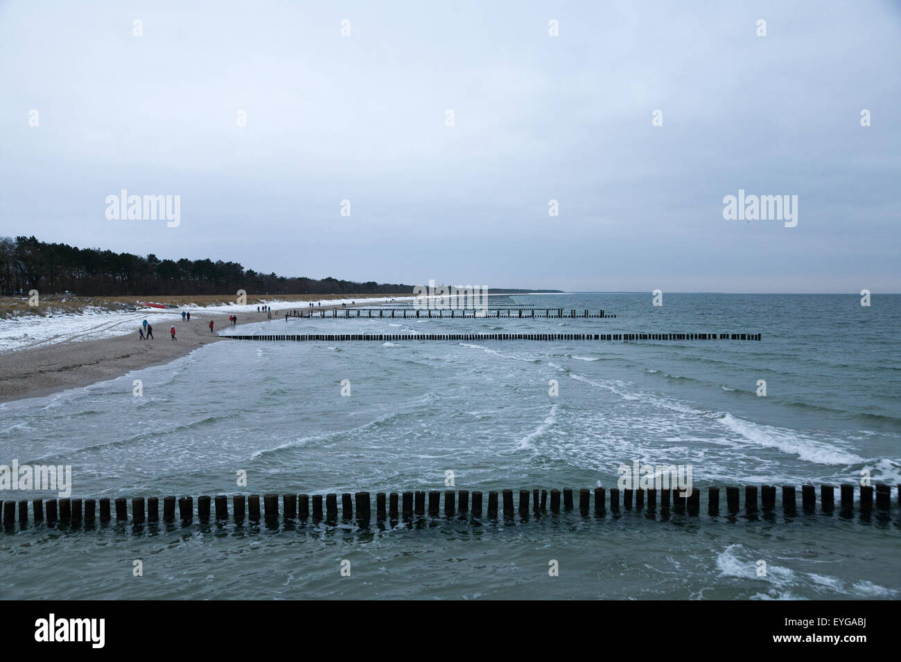 Zingst, Germany, Winter walk along the Baltic Sea coast Stock Photo - Alamy