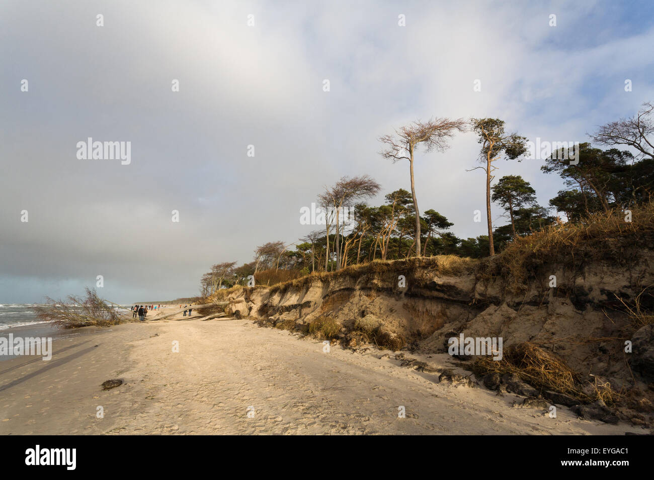 Ahrenshoop, Germany, drip line of the cliffs on the western beach Stock ...