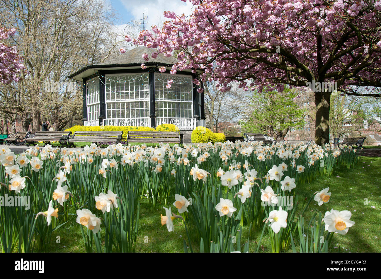 Spring at Nottingham Castle, Nottinghamshire England UK Stock Photo - Alamy