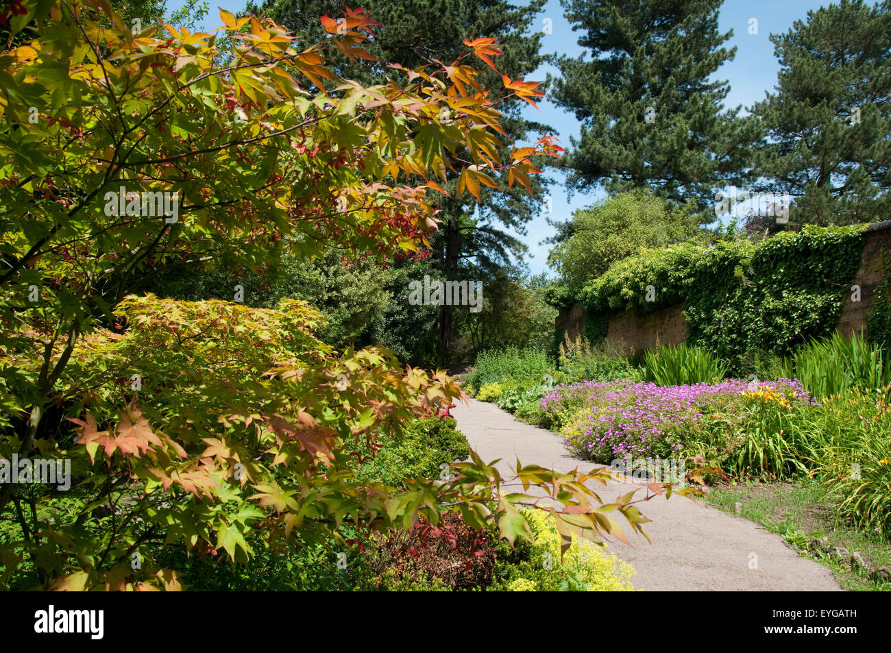 Summer at Woodthorpe Park in Nottingham, Nottinghamshire England UK ...