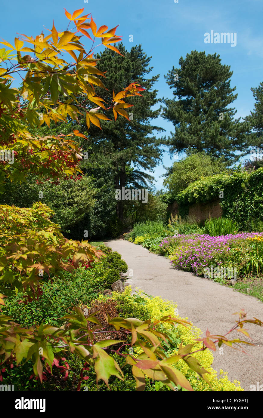 Summer at Woodthorpe Park in Nottingham, Nottinghamshire England UK ...