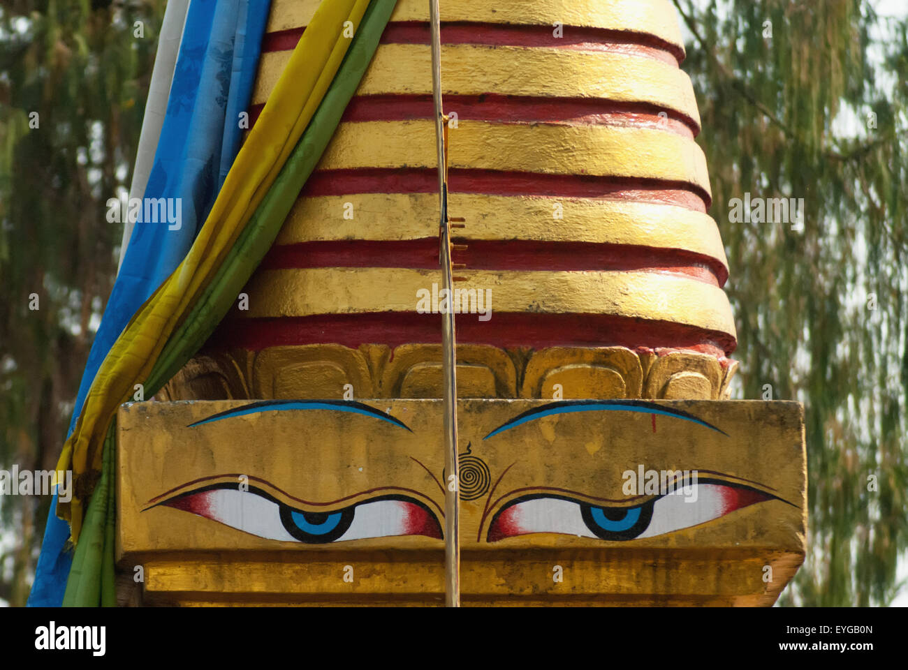 India, West Sikkim, Buddha eyes on stupa belonging to Choki Lodro at ...