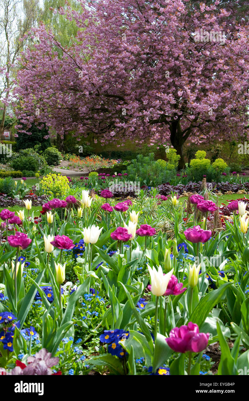 Spring at Woodthorpe Park in Nottingham, Nottinghamshire England UK ...