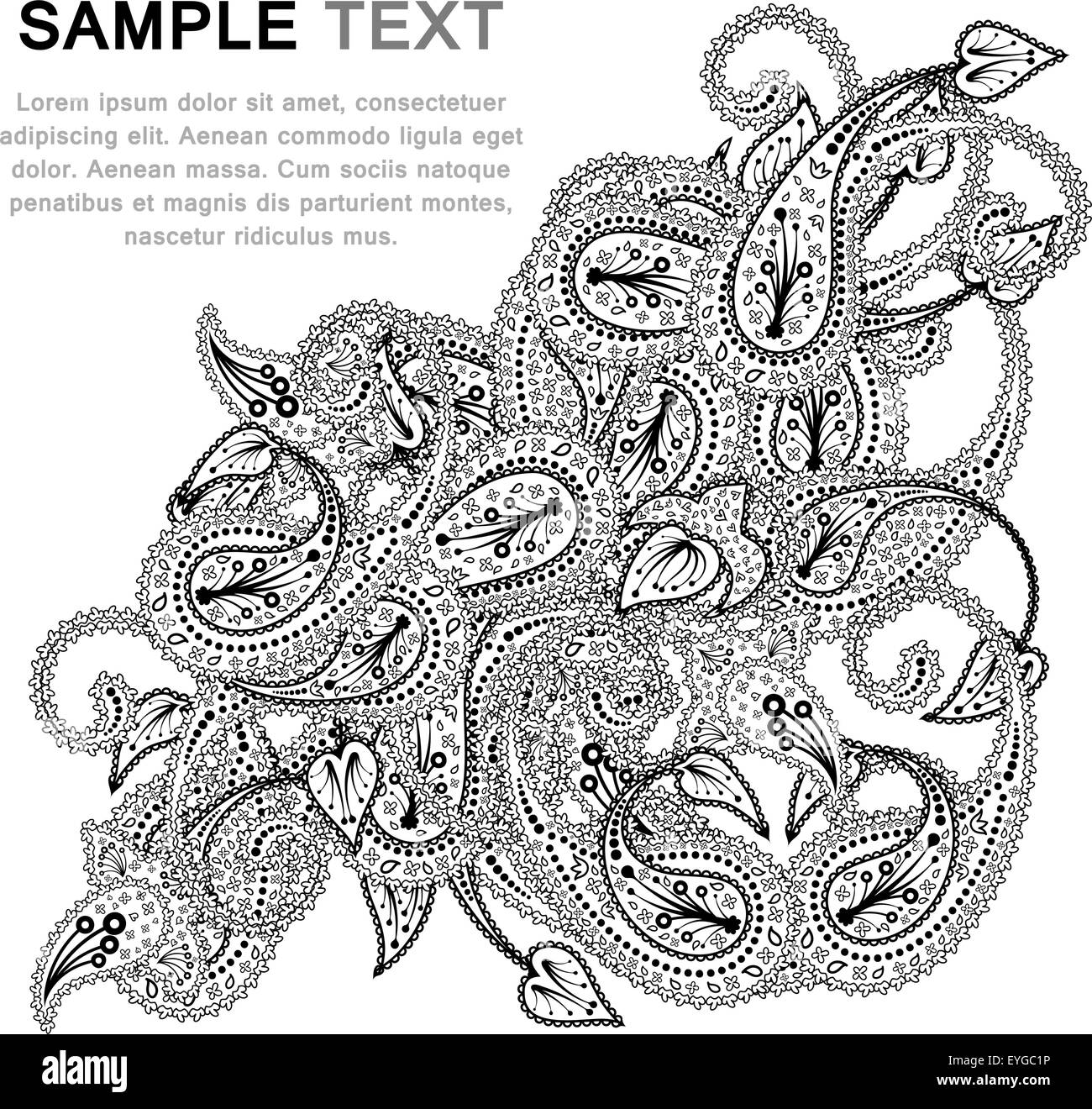 Indian paisley patterns Black and White Stock Photos & Images - Alamy