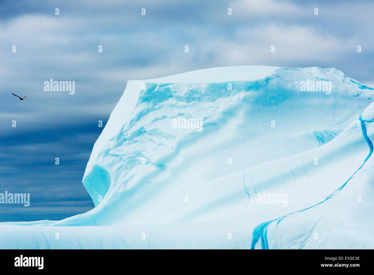 Blue ice of iceberg off west coast; Greenland Stock Photo - Alamy