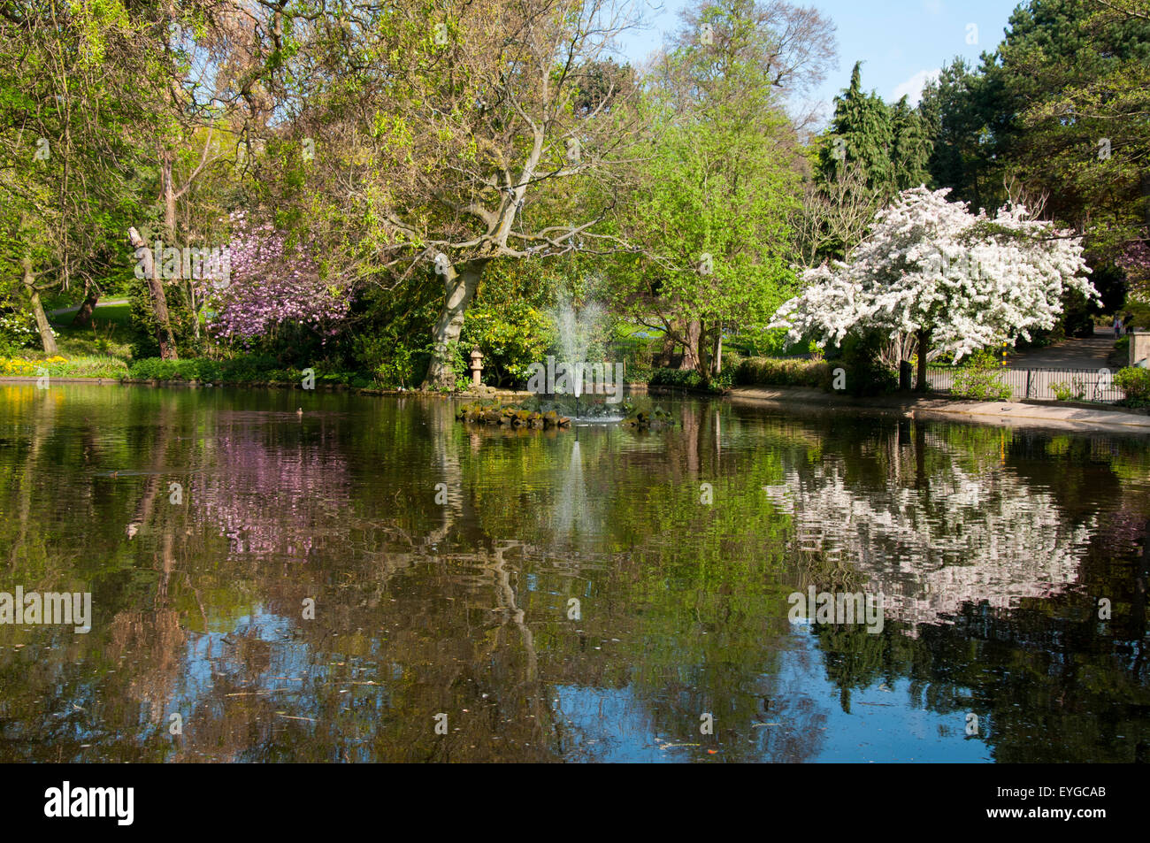 Spring at the Arboretum City Park in Nottingham, Nottinghamshire ...