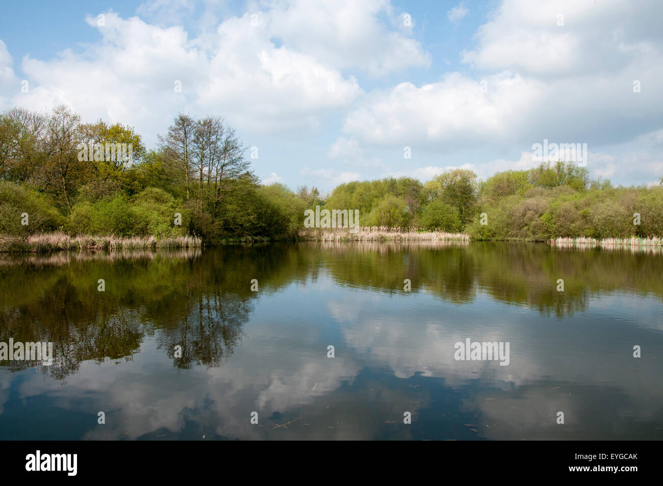 Martin's Pond in Wollaton, Nottinghamshire England UK Stock Photo - Alamy