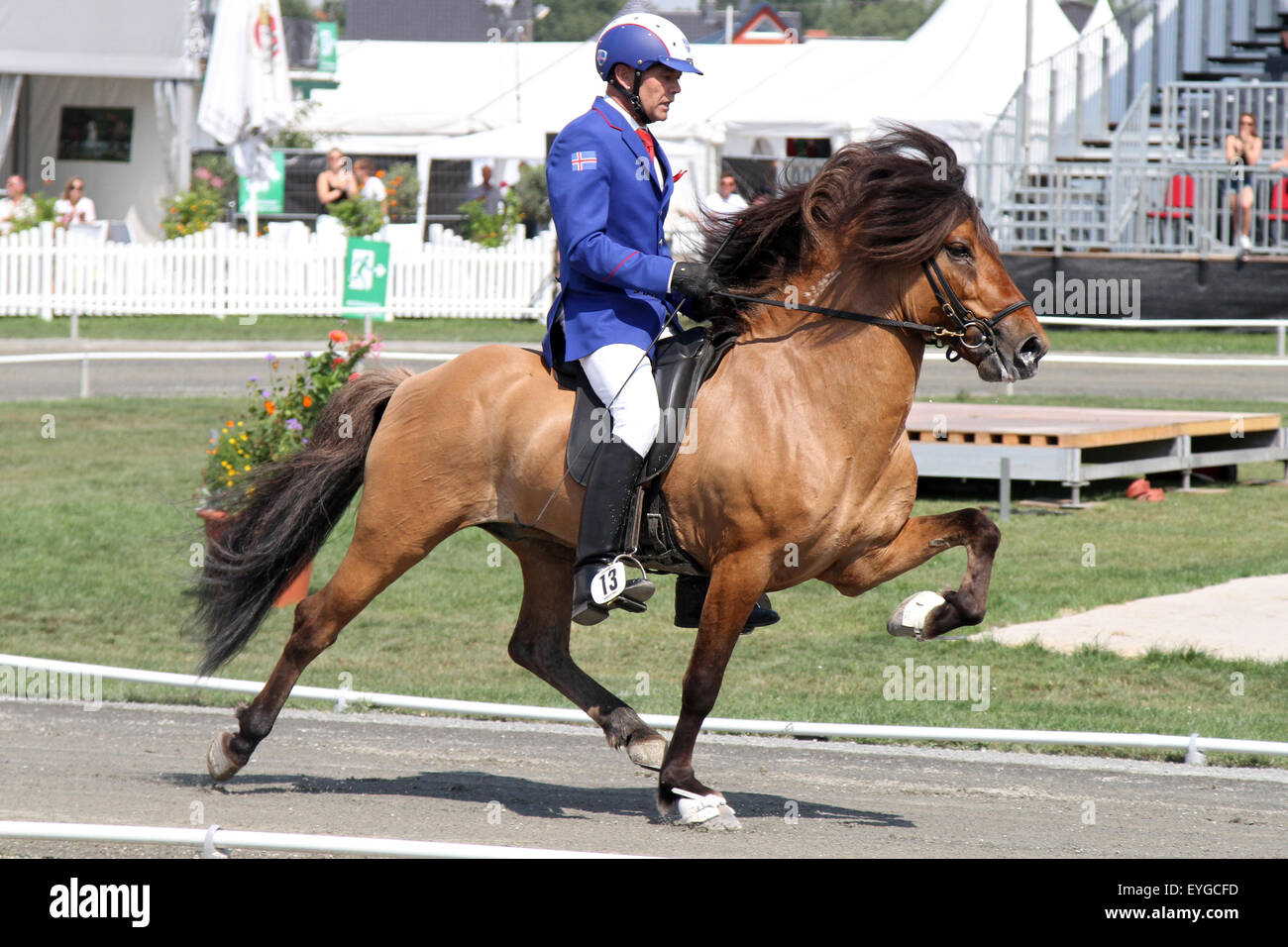 Iceland horse world cup hi-res stock photography and images - Alamy