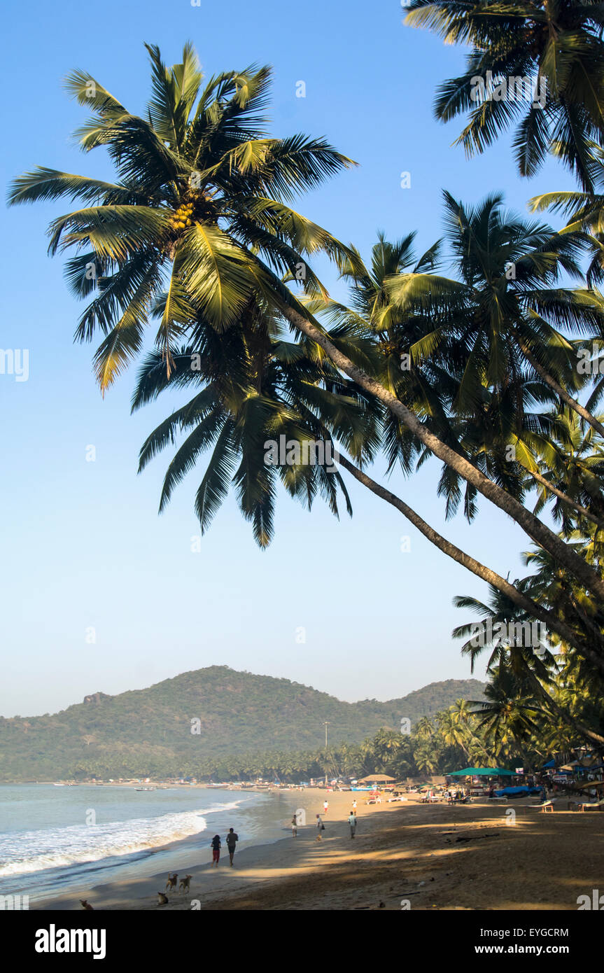 India, Palm Trees Over Palolem Beach; Goa Stock Photo - Alamy