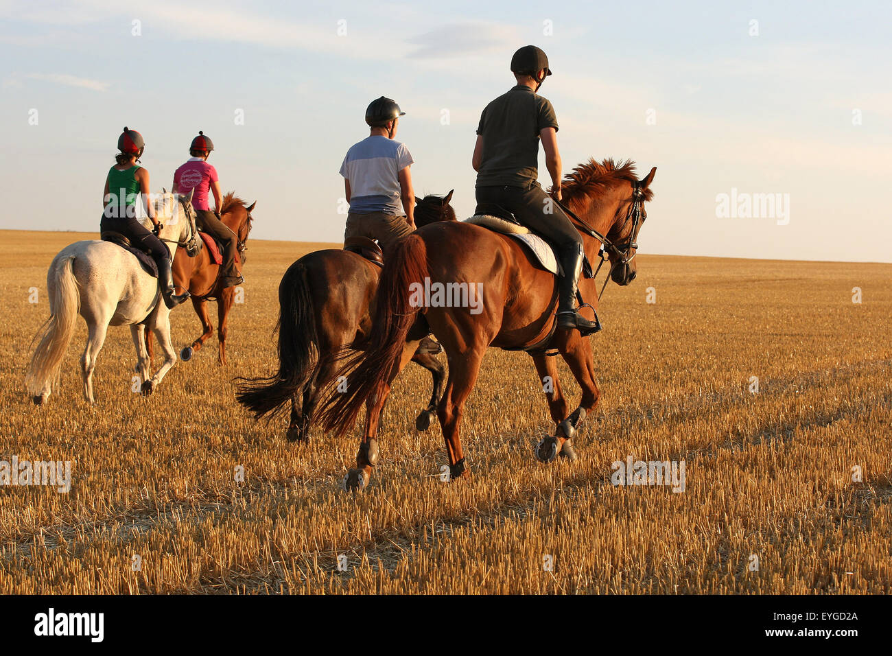 Field of riders hi-res stock photography and images - Alamy