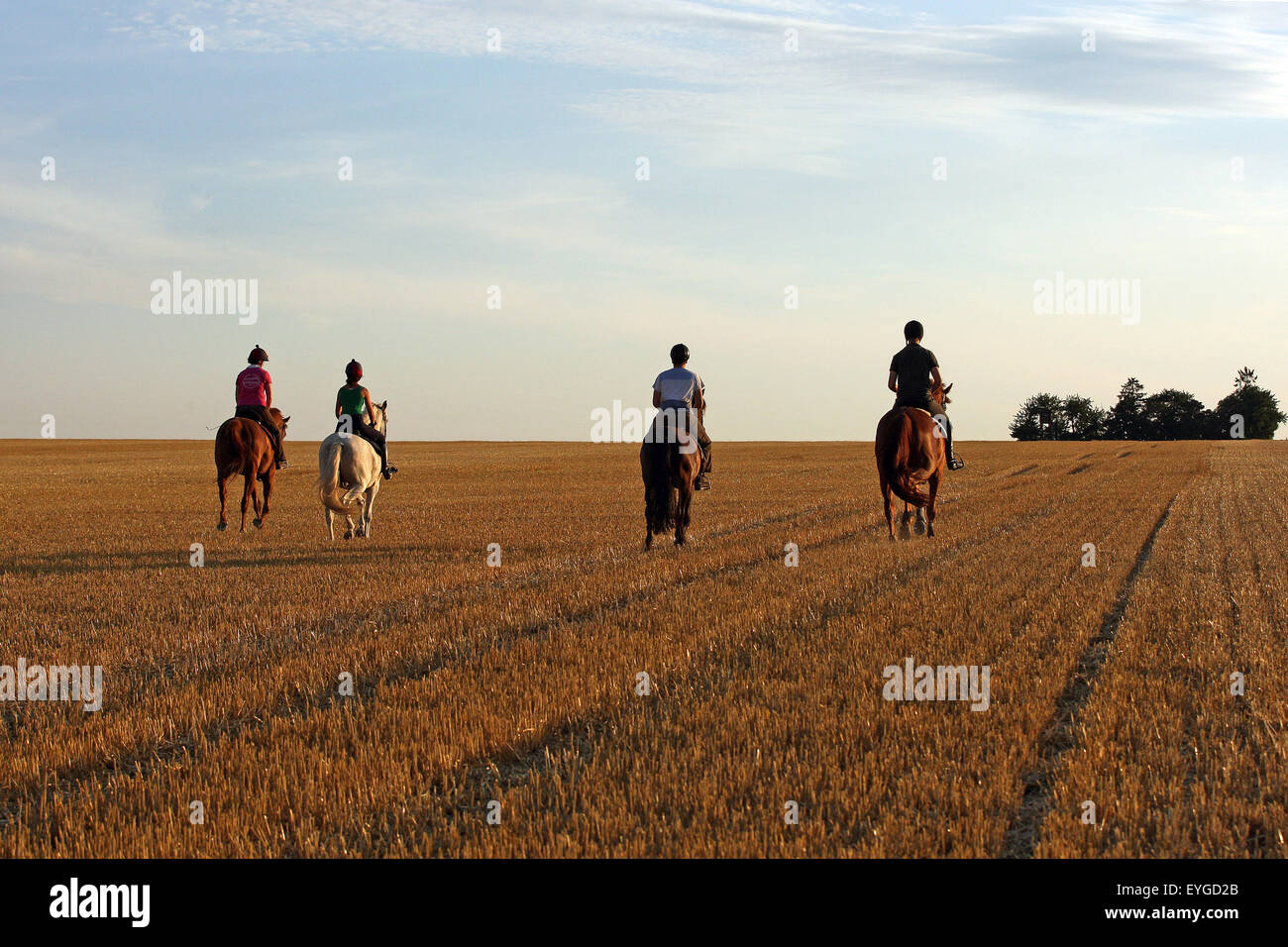 Field of riders hi-res stock photography and images - Alamy
