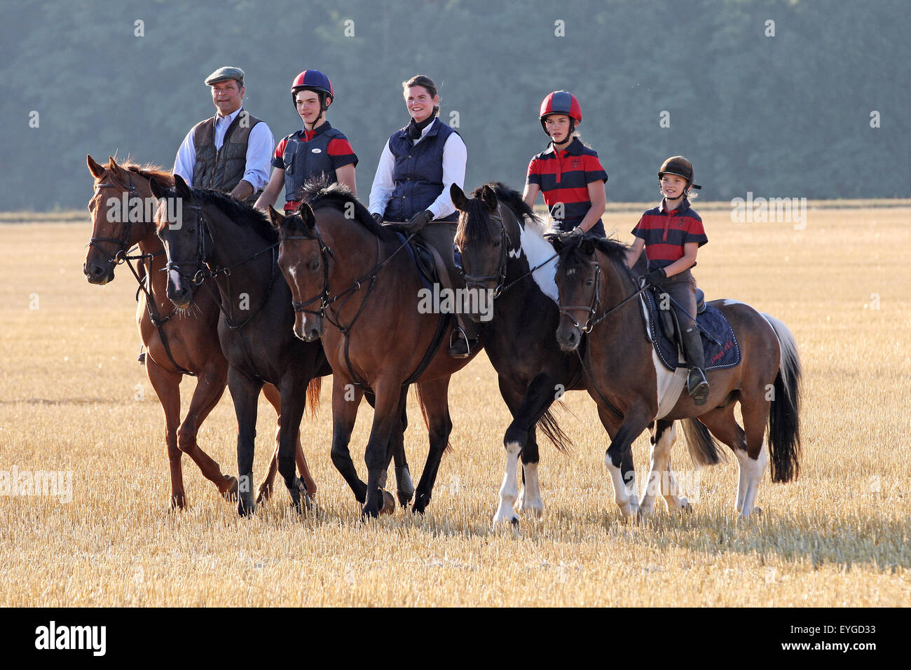 Ingelheim, Germany, Family makes a ride on a mown field Stock Photo - Alamy