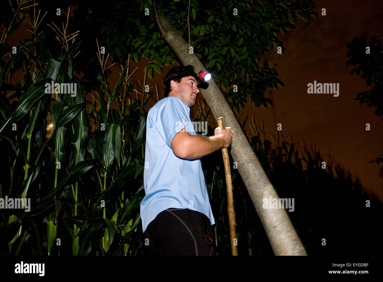 Italy, Cuggiono, Andrea Tenconi farmer Stock Photo - Alamy