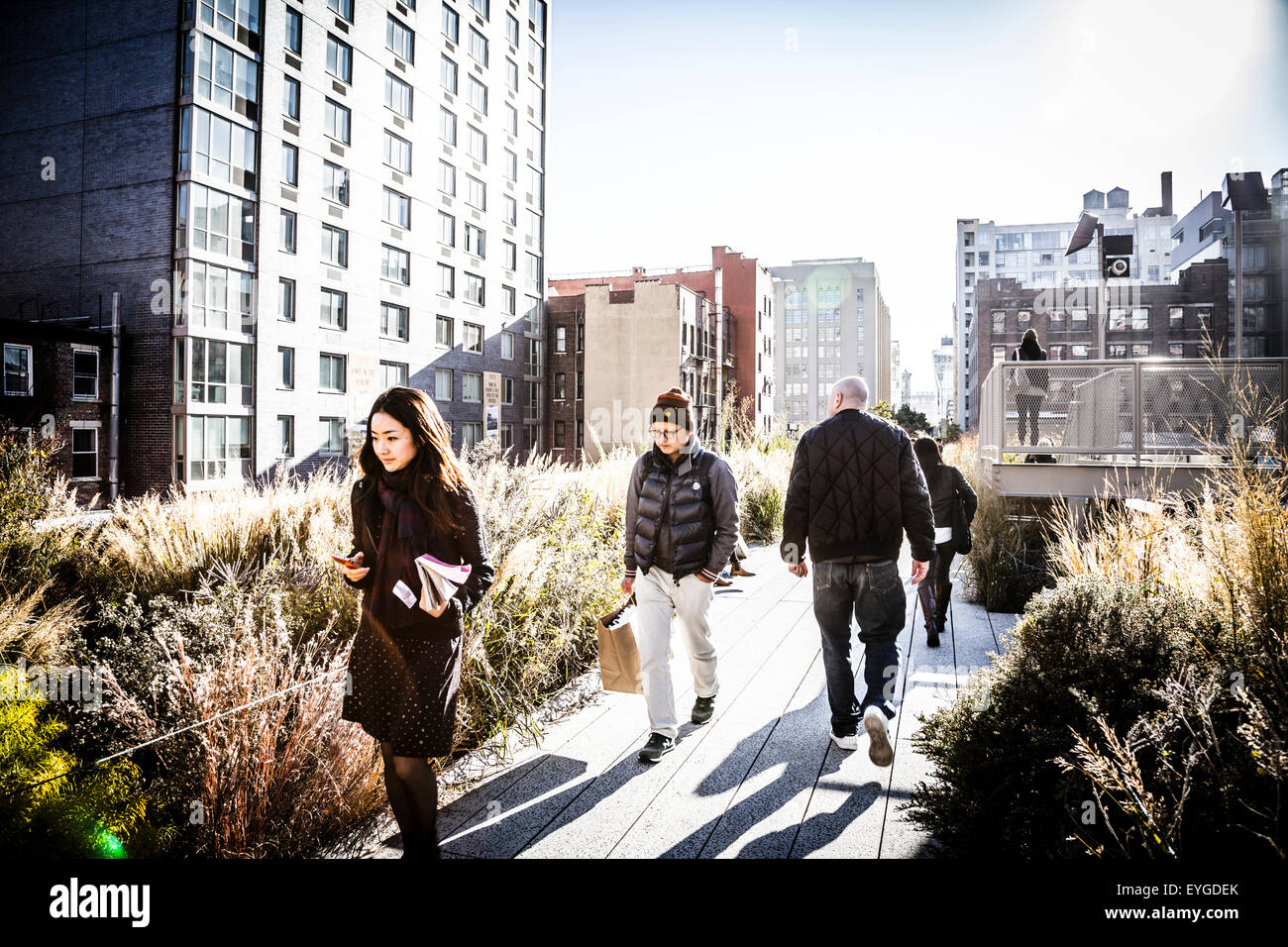 High Line Park in NYC. The High Line is a public park built on an historic freight rail line ...