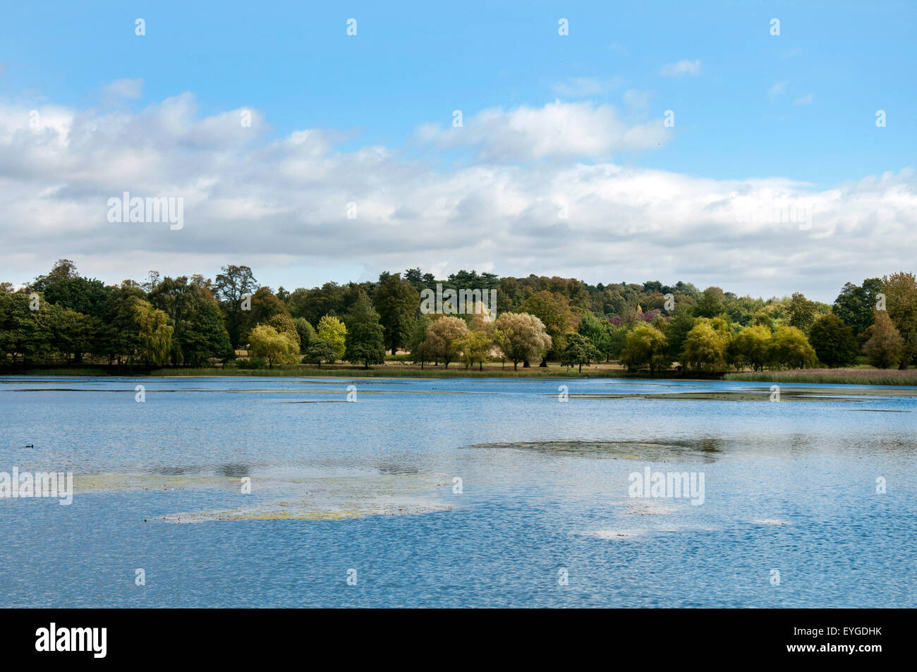 The lake at Wollaton Park in Nottingham, Nottinghamshire England UK ...