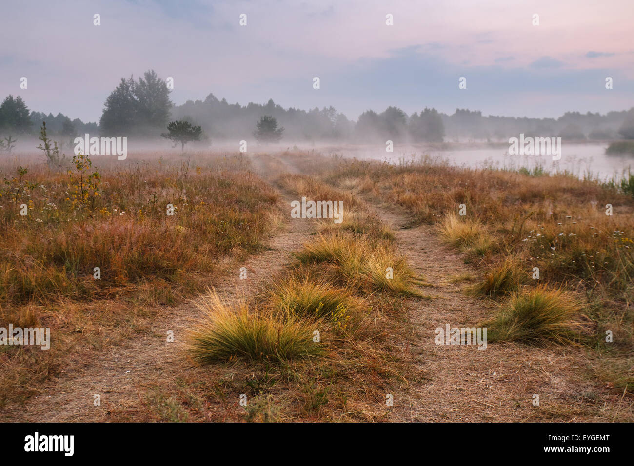 Belarus countryside hi-res stock photography and images - Alamy