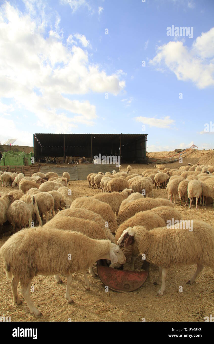 Prawer plan hi-res stock photography and images - Alamy