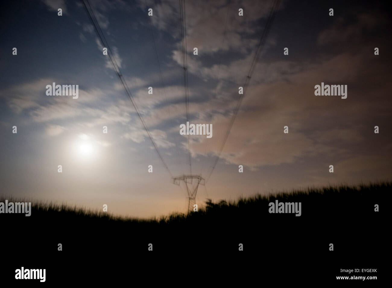 Italy, Cuggiono, Andrea Tenconi farmer Stock Photo - Alamy