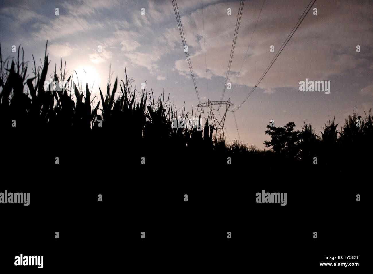 Tenconi hi-res stock photography and images - Alamy