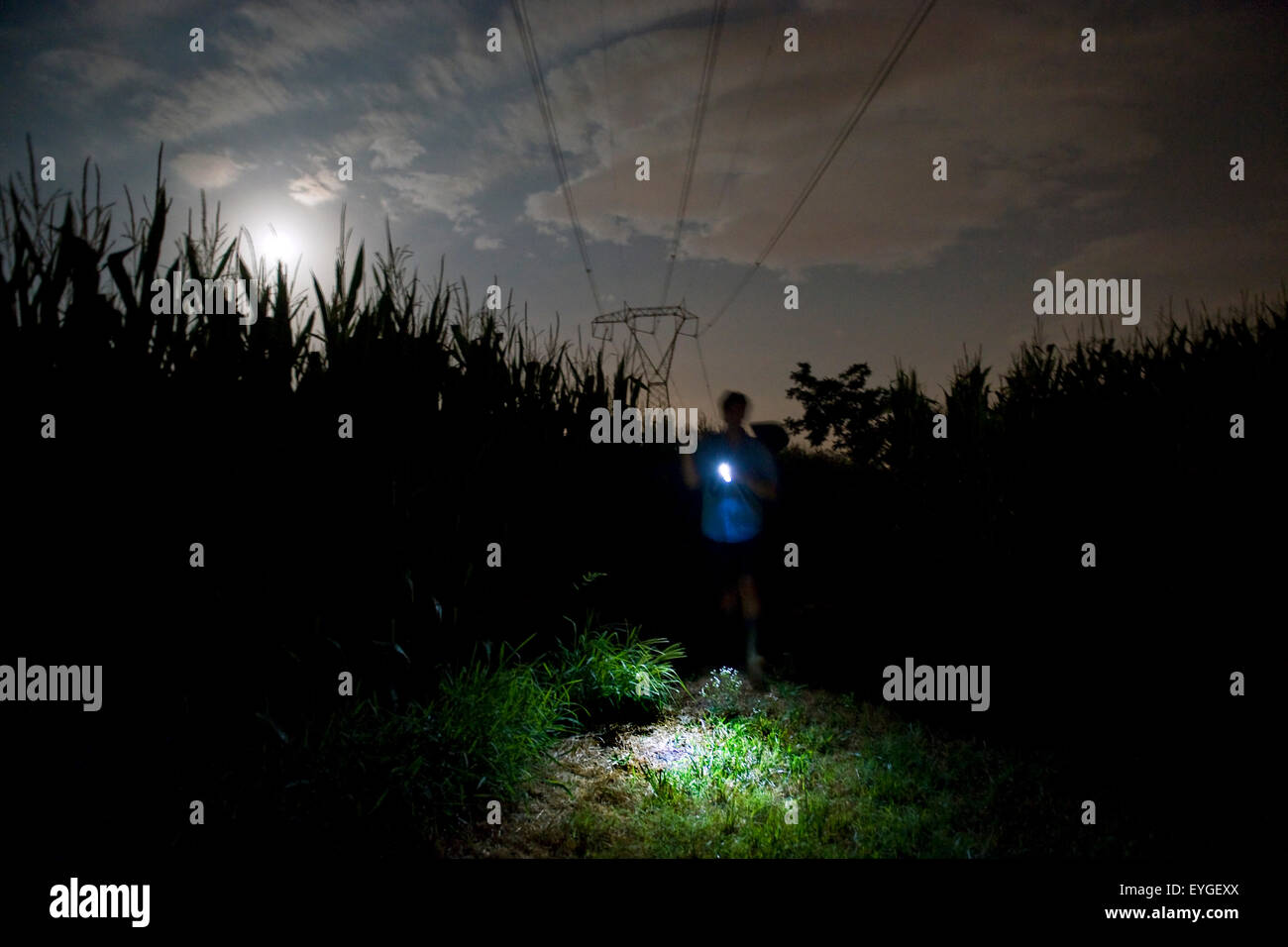 Italy, Cuggiono, Andrea Tenconi farmer Stock Photo - Alamy