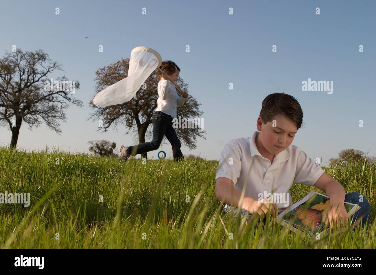 Brother and sister catching butterflies. Learning about Stock Photo - Alamy